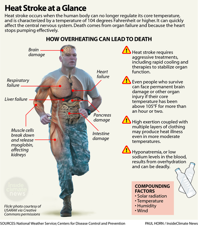 Exercise and Overheating: When You Should Be Concerned - Health Hero ...